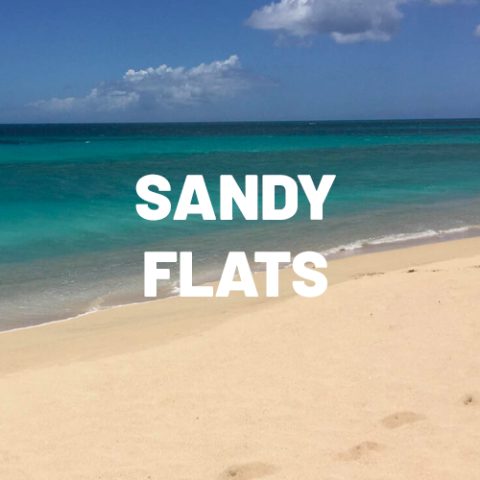 Sandy Flats – Nelson's Dockyard National Park